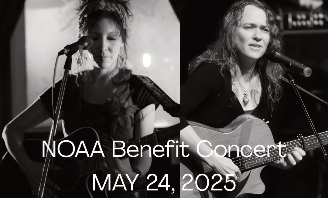 May 2025 Benefit concert Recap – Gallery Vertigo
